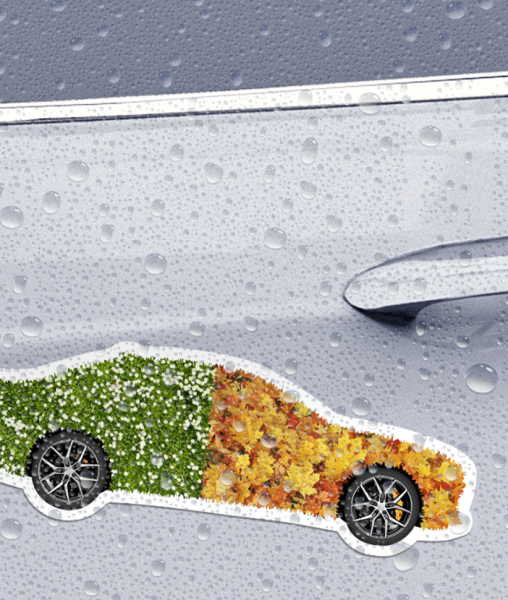 PRO BRO express car wash | Akcijas